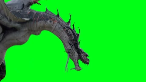 Dragon Greenscreen Stock Video Footage | Royalty Free Dragon ...