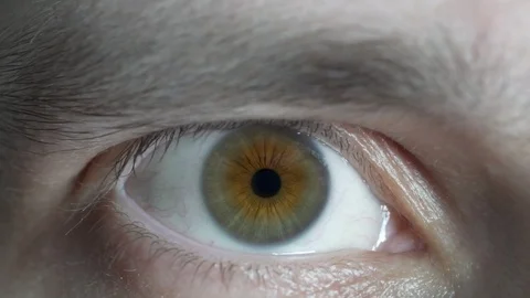 Flying inside human eye, iris and neuron... | Stock Video | Pond5