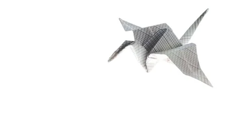 Flying Crane Pattern Stock Footage ~ Royalty Free Stock Videos | Pond5