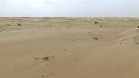 Sandy Desert Ground Footsteps At The Desert Oasis Ground Sand Photo