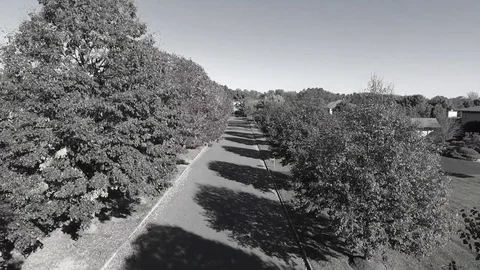 Flying Over Neighborhood Trees - Black a... | Stock Video | Pond5