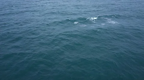 Tropical Ocean Stock Footage ~ Royalty Free Stock Videos | Pond5