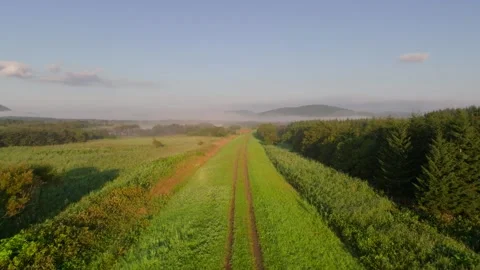 Flying Tire Stock Videos – Royalty-Free HD & 4K Videos