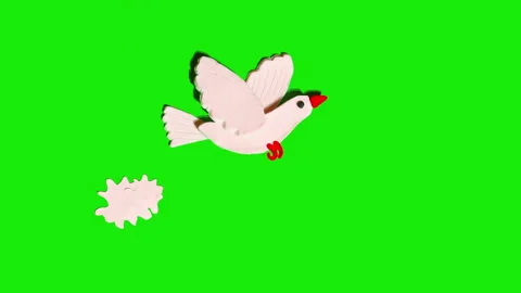 Bird Flying Template Stock Videos – Royalty-Free HD & 4K Videos | Pond5