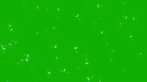 Flying pollen dust green screen motion g... | Stock Video | Pond5