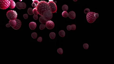 Flying of Raspberry in Black Background | Stock Video | Pond5