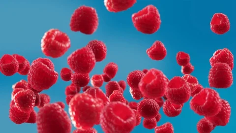 Flying of Raspberry in Blue Background | Stock Video | Pond5