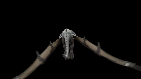 Flying Realistic Dragon. | Stock Video | Pond5