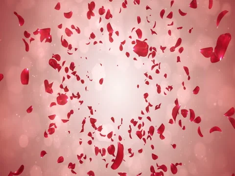 Flying Romantic Red Rose Flower Petals F... | Stock Video | Pond5