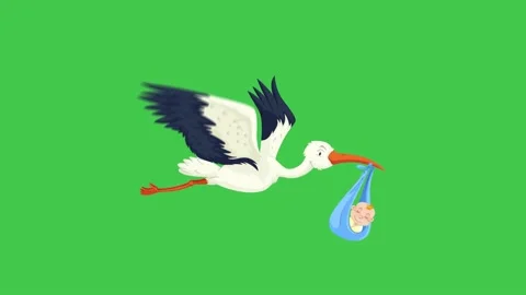 Flying stork with a baby on green screen... | Stock Video | Pond5