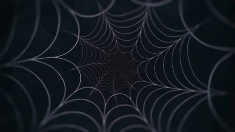 Flying Through Dark Cobweb Spiral Tunnel | Stock Video | Pond5