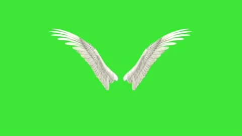 flying wings green screen | Stock Video | Pond5