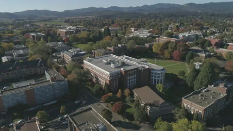 Flyover College Campus Education Buildin... | Stock Video | Pond5