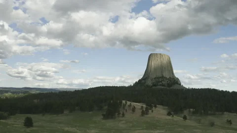 Flyover the Forest Under Devils Tower | Stock Video | Pond5