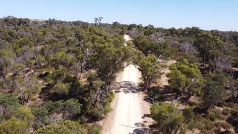 Flyover Heritage Trail Bushland Walk Tra... | Stock Video | Pond5