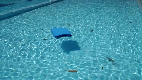 Pool Foam Float Stock Footage ~ Royalty Free Stock Videos | Pond5