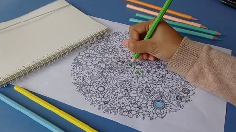 Coloring Book Nature Stock Footage ~ Royalty Free Stock Videos | Pond5
