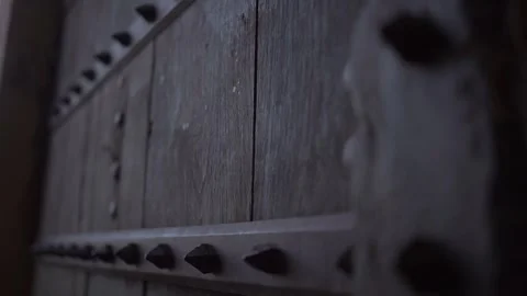 Spike Roal Stock Video Footage | Royalty Free Spike Roal Videos | Pond5