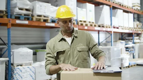 Focused worker inspecting cardboard boxe... | Stock Video | Pond5