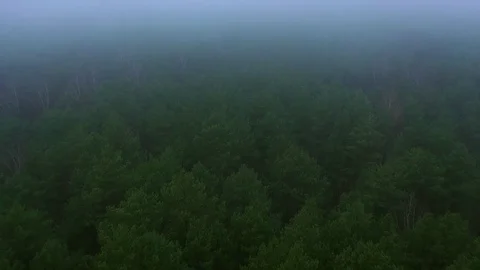 Halloween Video Drone Stock Videos – Royalty-Free HD & 4K Videos | Pond5