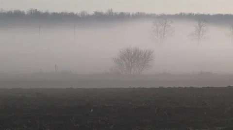 Fog patches over farm fields | Stock Video | Pond5