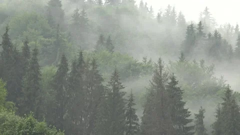 Fog Rain, Mist Cloudy Raining Day, Inund... | Stock Video | Pond5
