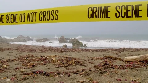 Beach Scene Stock Footage ~ Royalty Free Stock Videos | Pond5