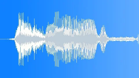 Bush Hit Sound Effects - 571 Bush Hit sounds for SFX projects | Pond5