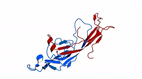 Fsh Stock Video Footage | Royalty Free Fsh Videos | Pond5