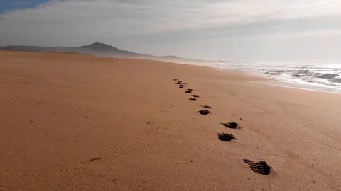 following footsteps on the beach next to... | Stock Video | Pond5
