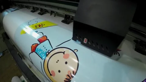 Head Pic Stock Videos – Royalty-Free HD & 4K Videos