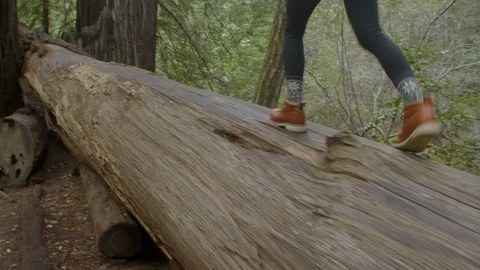 Misty Legs Stock Videos – Royalty-Free HD & 4K Videos | Pond5