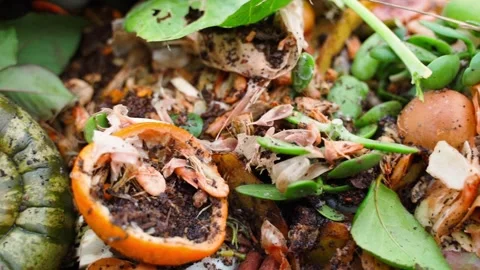 Food and other human waste on compost, c... | Stock Video | Pond5