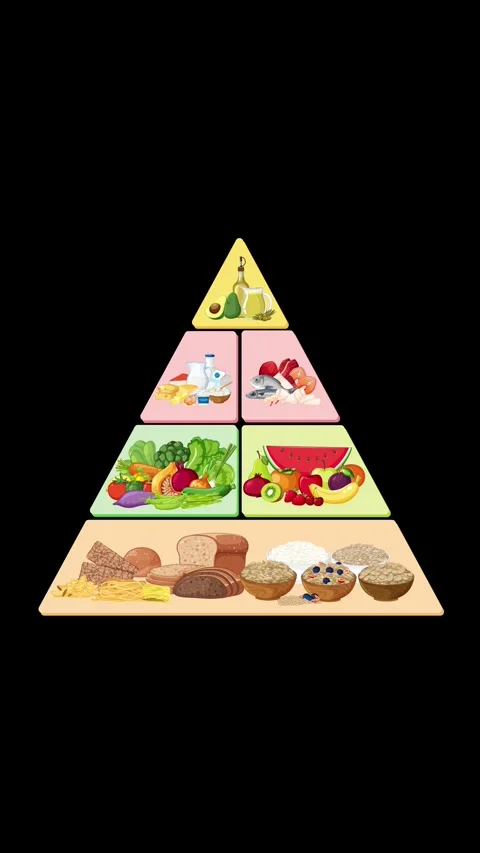 Food Group Pyramid Animation Building Nu... | Stock Video | Pond5