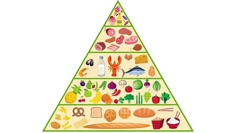 Food pyramid Nutrition Animation | Stock Video | Pond5