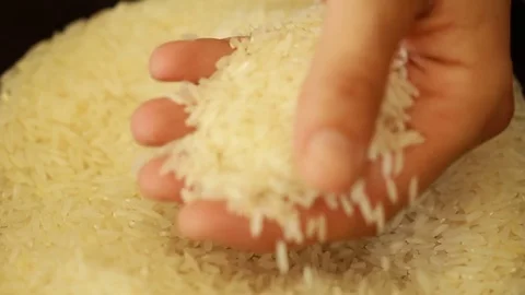 Food Cast Videos Stock Videos – Royalty-Free HD & 4K Videos