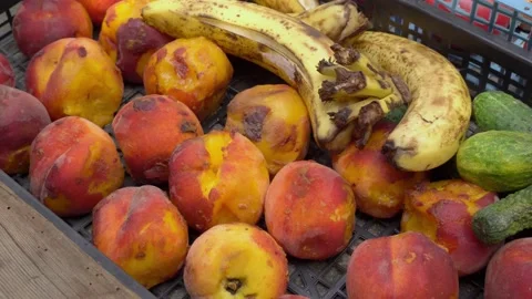 Food waste. Discarding unsold food. Rott... | Stock Video | Pond5