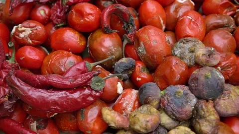 Food waste. Spoiled rotten vegetables. F... | Stock Video | Pond5