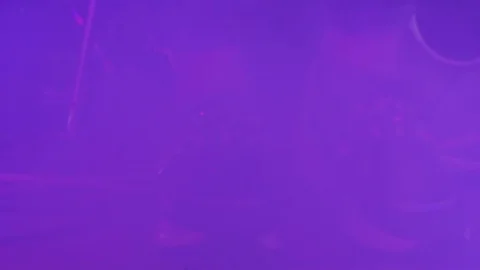 Club Foot N Stock Videos – Royalty-Free HD & 4K Videos