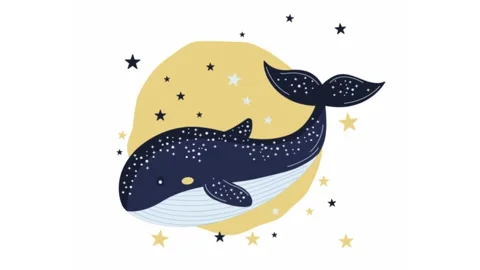 Shark Cartoon Beach Stock Footage ~ Royalty Free Stock Videos | Pond5