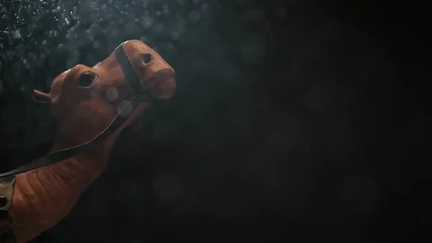 footage of camel dust dark background | Stock Video | Pond5