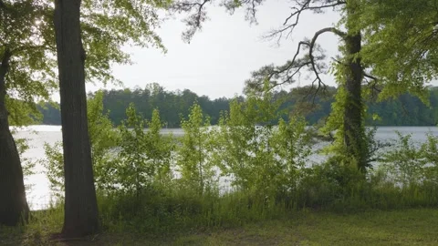 footage of a gorgeous spring landscape a... | Stock Video | Pond5