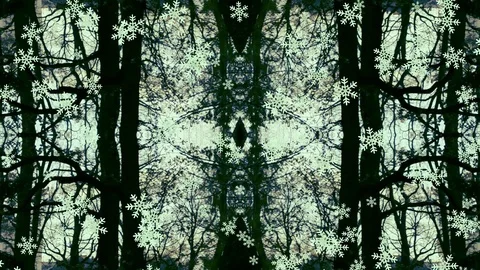 Footage Horror Movie With Nightmare Tree... | Stock Video | Pond5