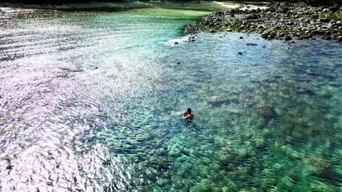 Swimming Google Stock Videos – Royalty-Free HD & 4K Videos