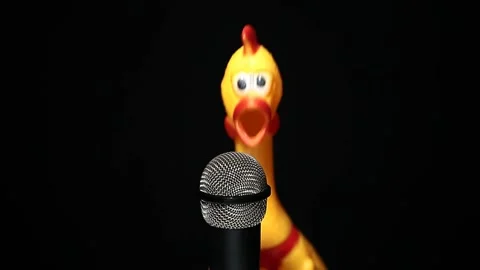 footage of microphone rubber chicken dar... | Stock Video | Pond5