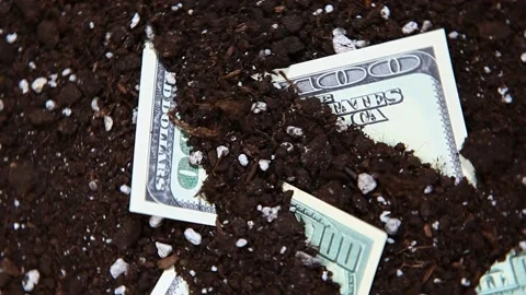 footage of money ground background | Stock Video | Pond5
