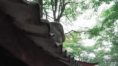 Furing Building Stock Videos – Royalty-Free HD & 4K Videos | Pond5