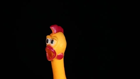 footage of rubber chicken dark backgroun... | Stock Video | Pond5