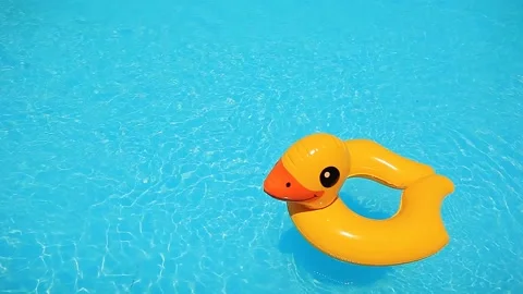 Duckyduck Stock Footage ~ Royalty Free Stock Videos | Pond5