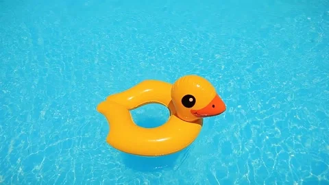 Rubber Duck Cruise Stock Videos – Royalty-Free HD & 4K Videos | Pond5